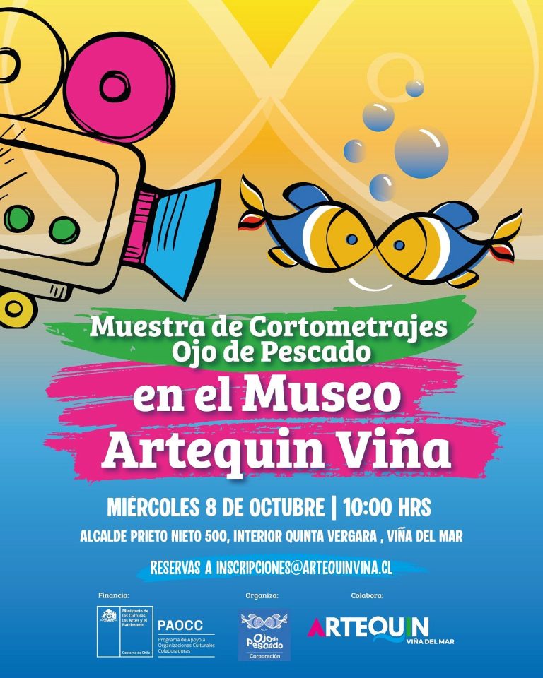 Museo Artequin Viña del Mar será sede del Festival de cine Ojo de ...